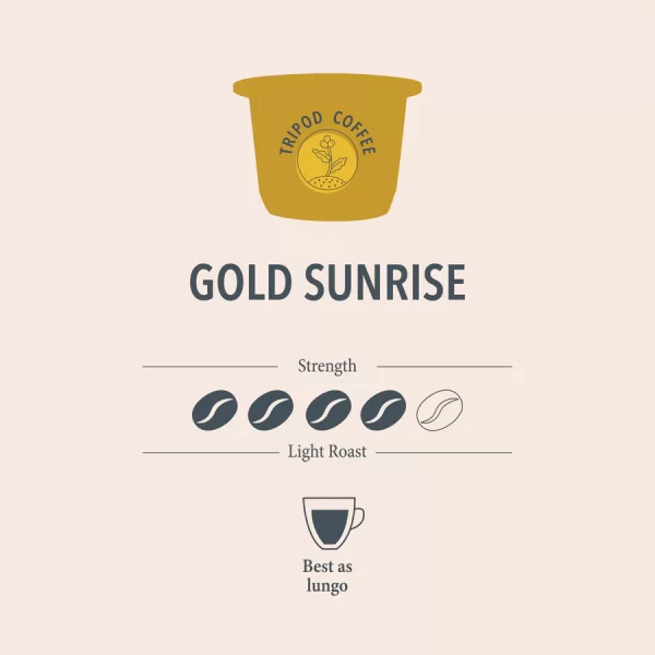 Tripod Gold Sunrise Single Origin Coffee Pods – My Coffee Capsule